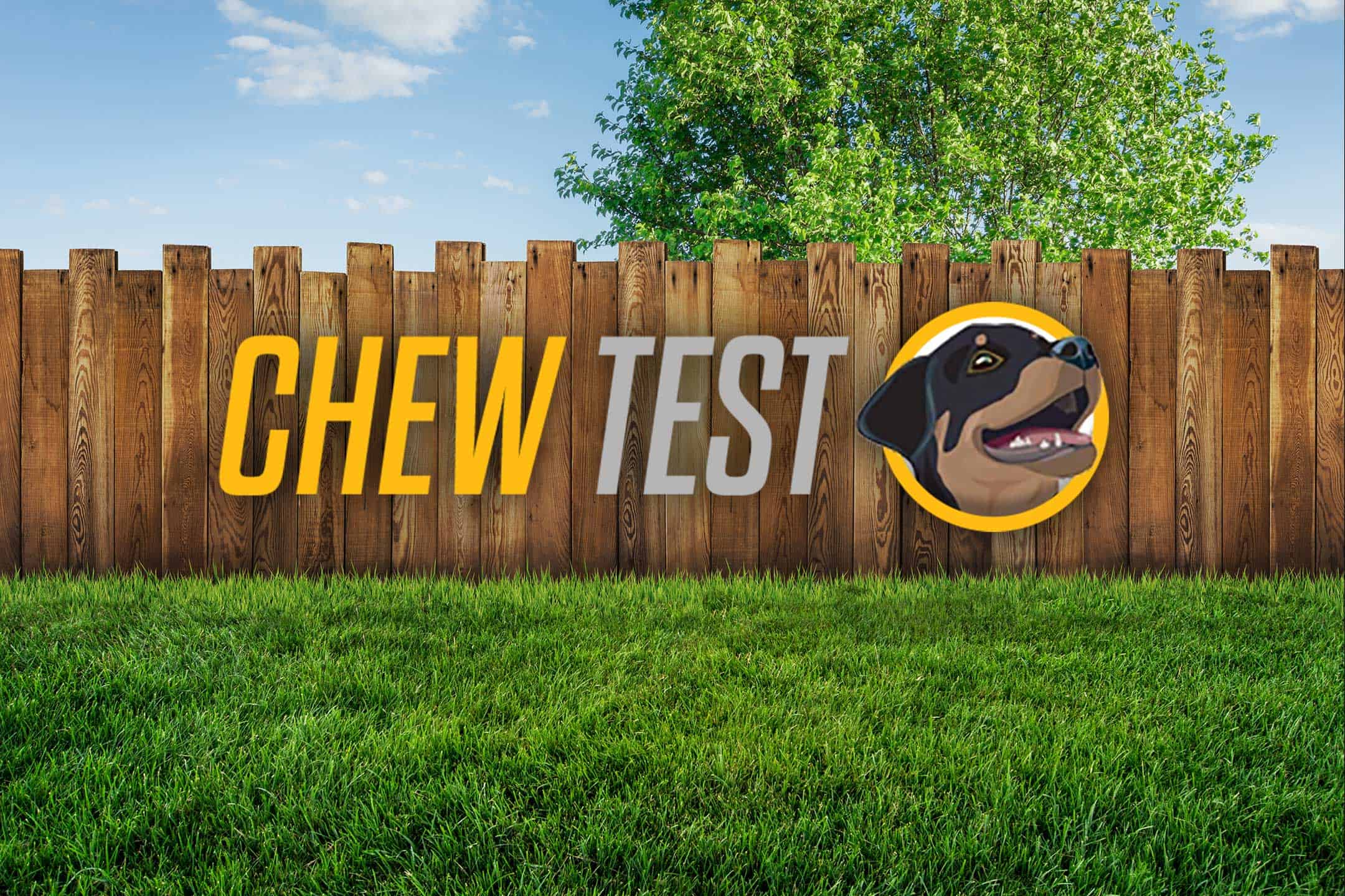 Chew Test Launched - Style Evolution Media